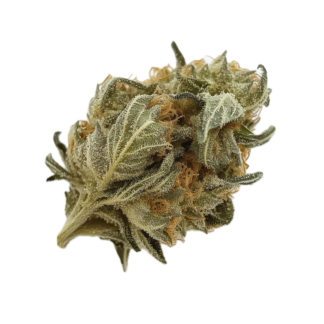 420 Evolution 25/1 FLM "Frozen Lemon Mints" Online Bestellen | Nordleaf