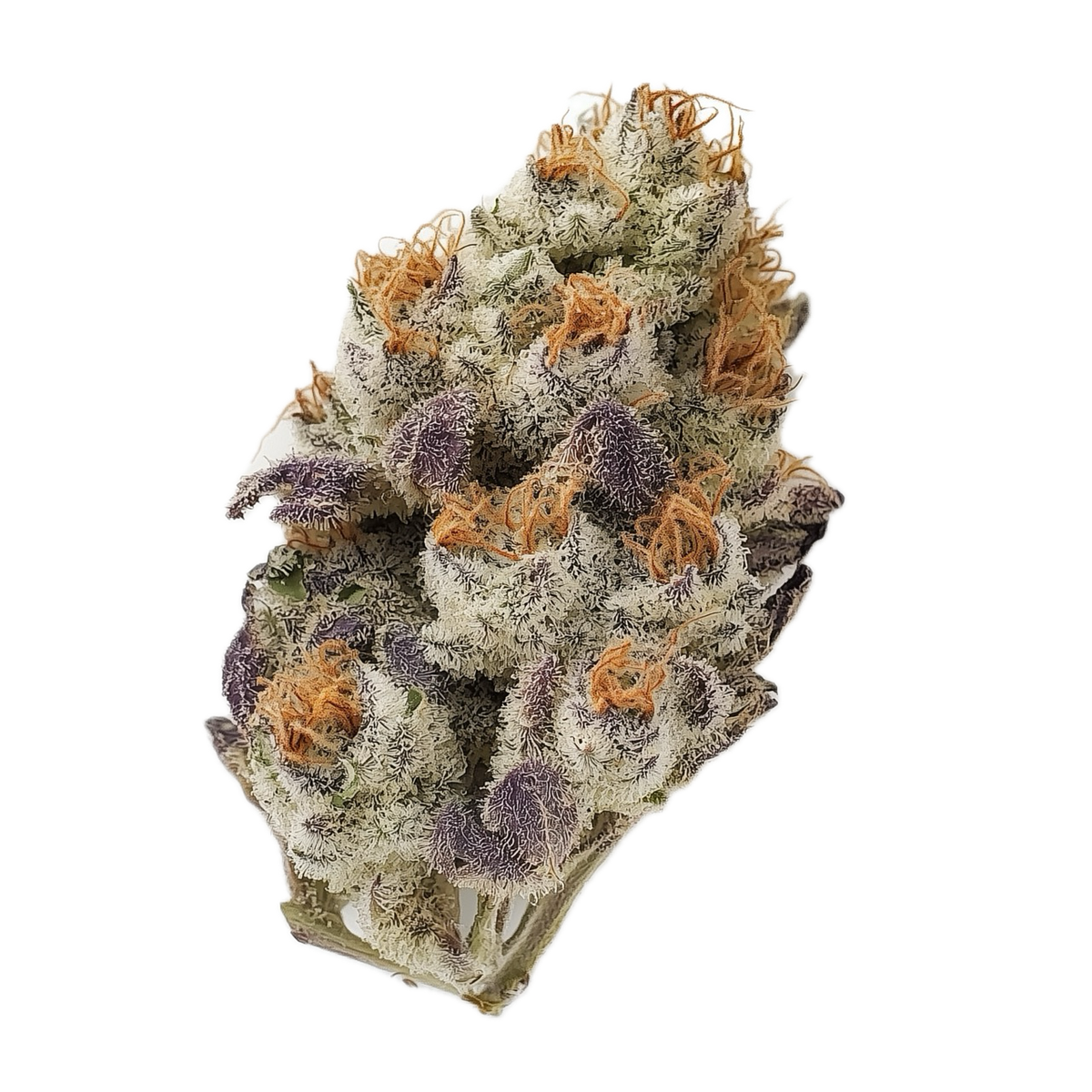 Huala 22/1 ALM "Alien Mints"