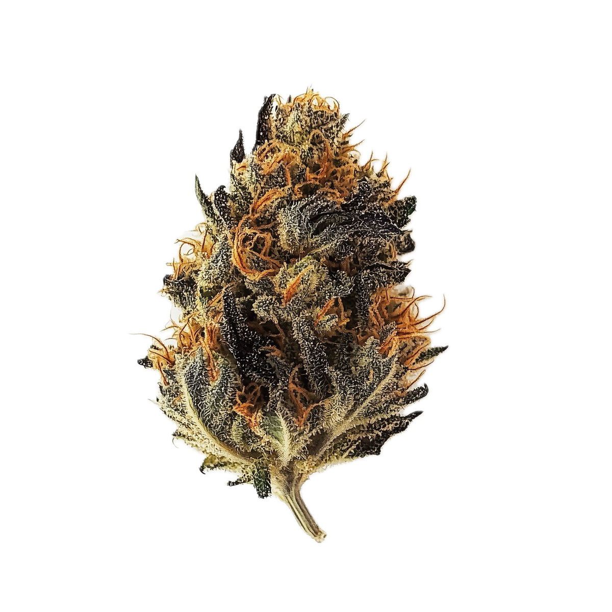 Huala 22/1 ALM "Alien Mints"