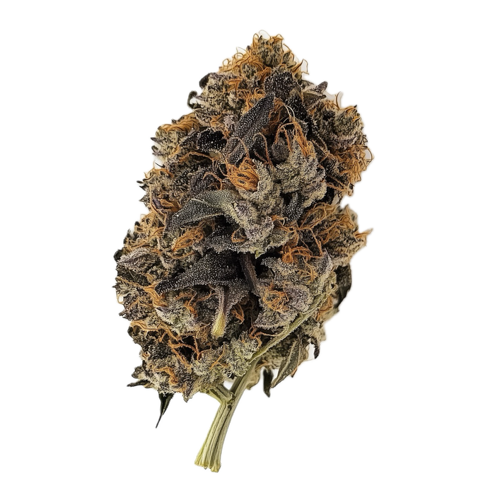 Pedanios 27/1 FRG-CA "Farm Gas"